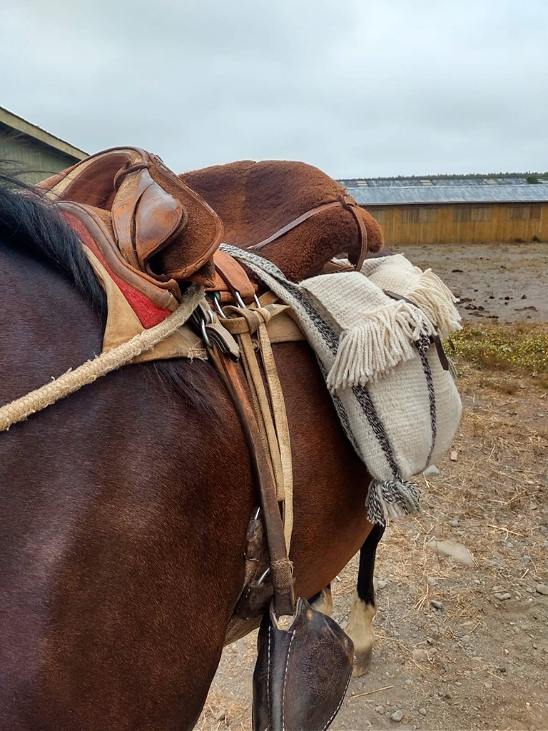 Alforja de Lana Artesanal - Cabalgatas