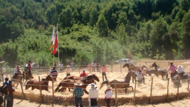La Trilla a Yegua Suelta, una Antigua Tradición Campesina - Cabalgatas